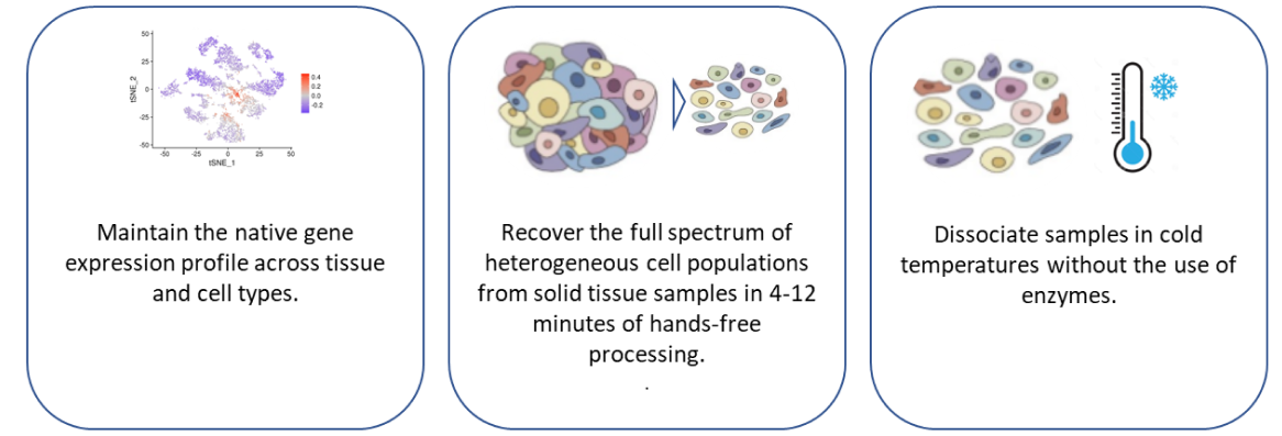 Tissue Dissociation Methods: How To Isolate Single Cells From Solid Tumors
